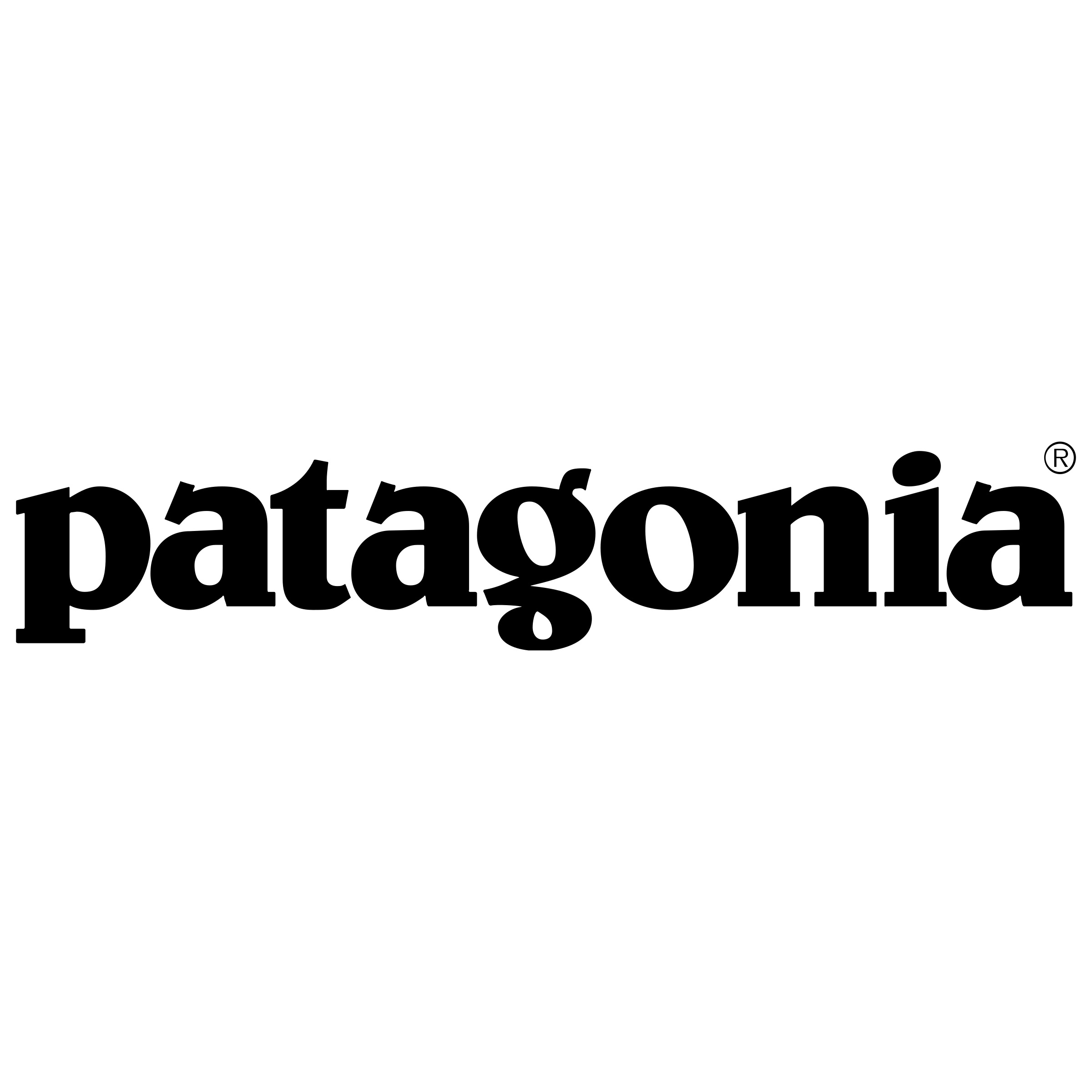 Patagonia Promo Code + Coupons | May 2026